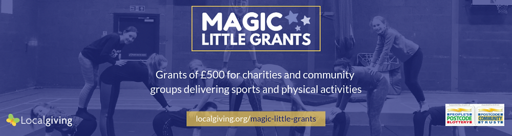 SEDS Receives Magic Little Grant