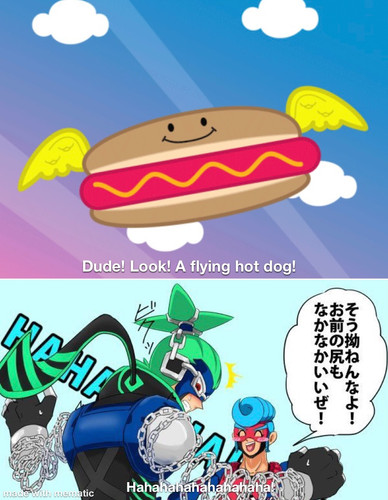 🌭Flying hot dog meme🌭 | KiraKira Vambre