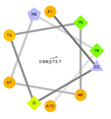 Helical Wheel Projections for Proteins