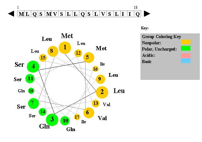 Helical Wheel Projections for Proteins