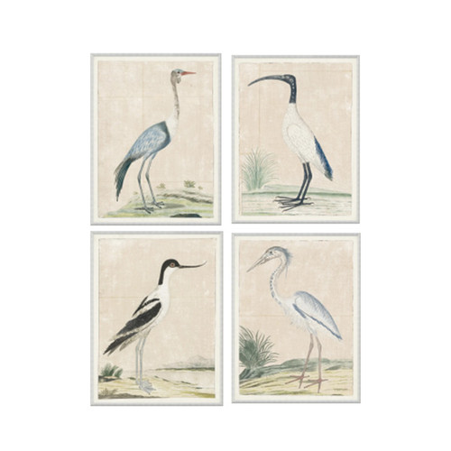 Gordon Bird Prints