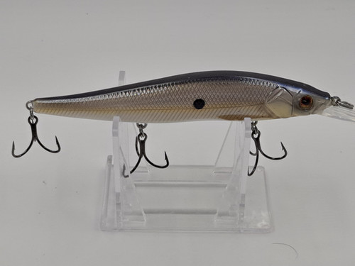 110+1 killer blue back shad | JIGSHACK
