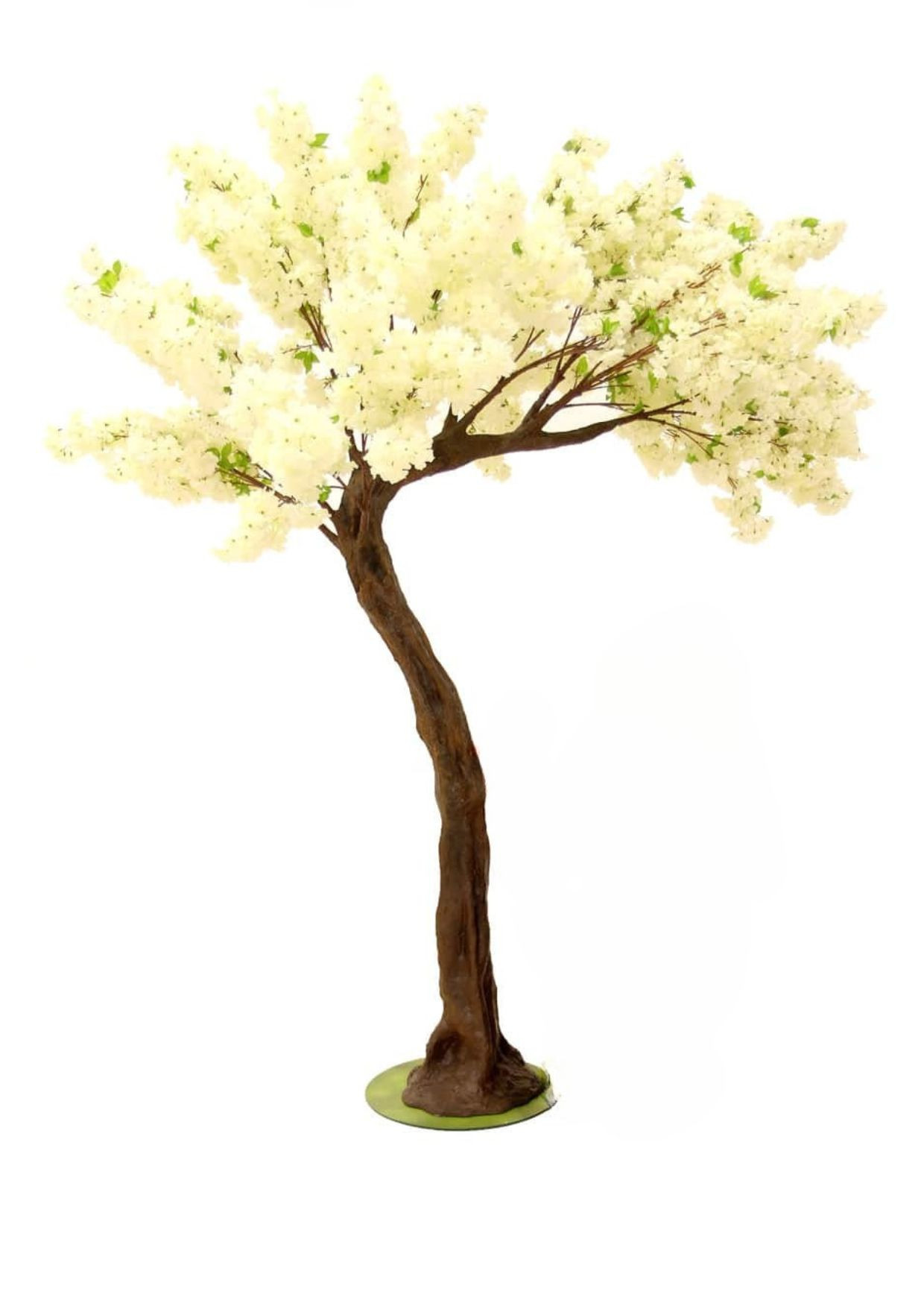 Cream Cherry Blossom Artificial Short Canopy Tree (240cm) | Bring the ...