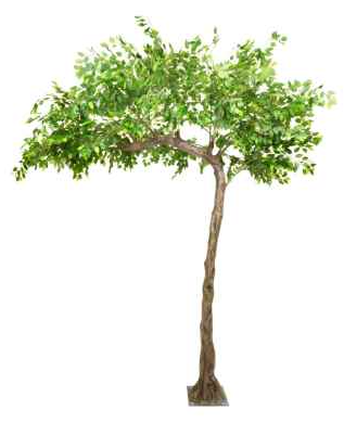 Green Ficus Artificial Tall Canopy Tree (320cm) | Bring the Outdoors In ...