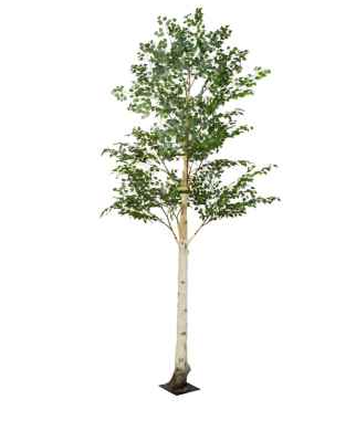 Birch Artificial 4m Tree | Bring the Outdoors In with this Stunning ...