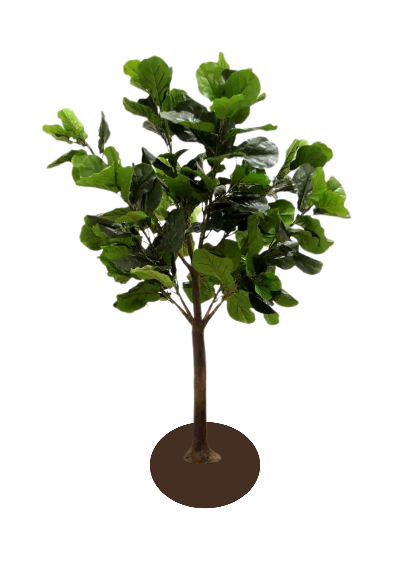 Fig Artificial 6ft Tree (1.8m) | Bring the Outdoors In with this ...