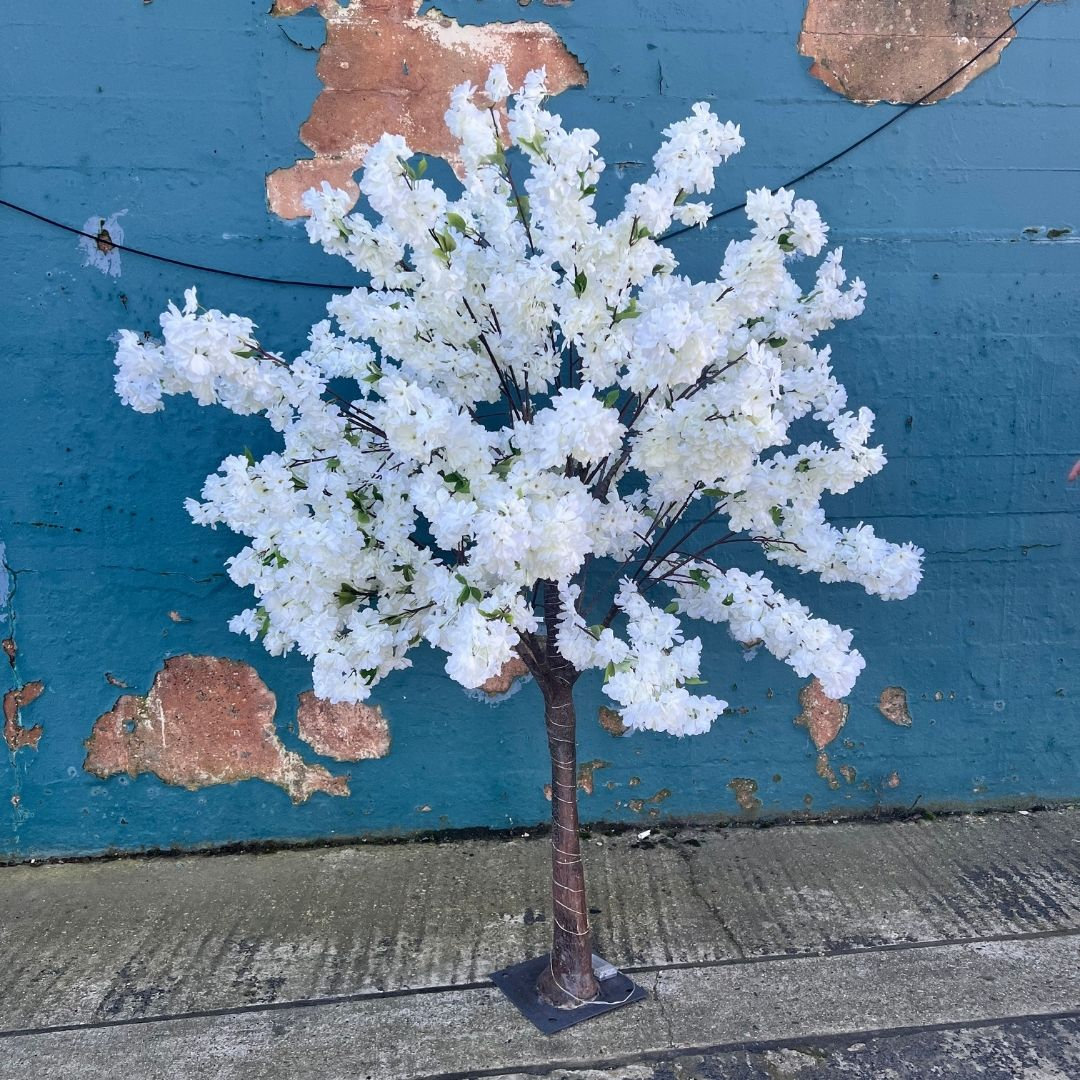 6ft Cream Blossom Tree