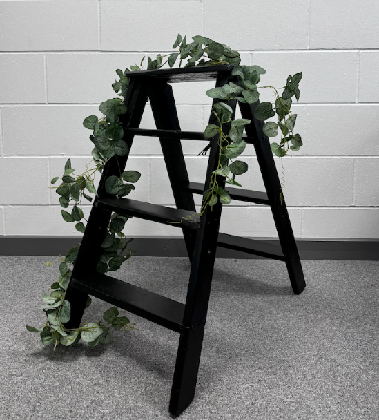 Small Black Wooden Ladder