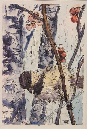 Twigs & Berries | Dimmick Studio5x7 Watercolor and ink on paperThese ...