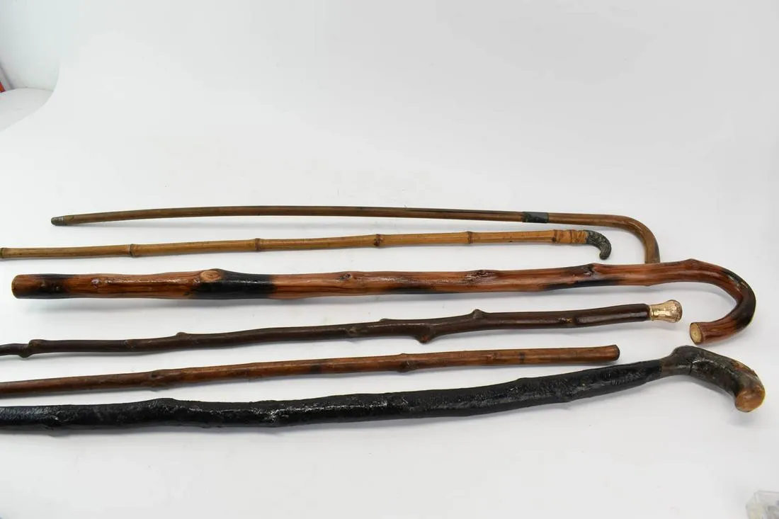 Six Assorted Wood and Bamboo Canes | Koch Antiques
