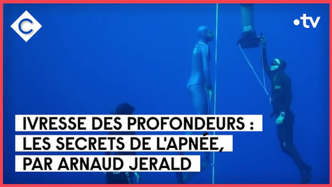 News | Arnaud Jerald