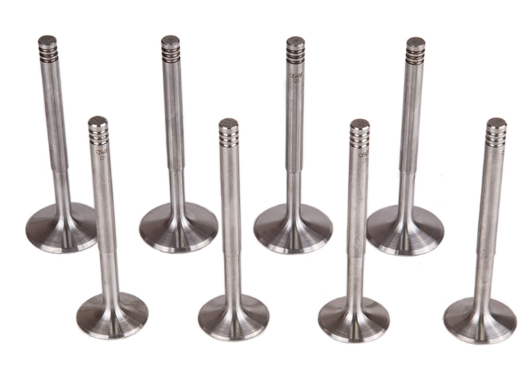 Enlarged 41/34 Tulip Valves set LADA 2101-2107 RIVA NOVA LAIKA 2121 ...