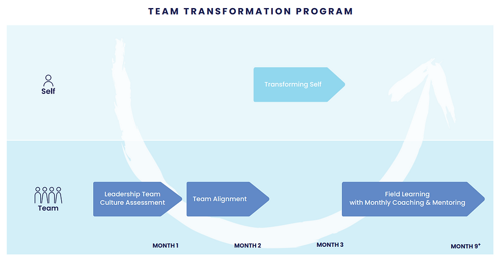 Team Alignment | Team Transformation Journey | Unique Leadership Solutions
