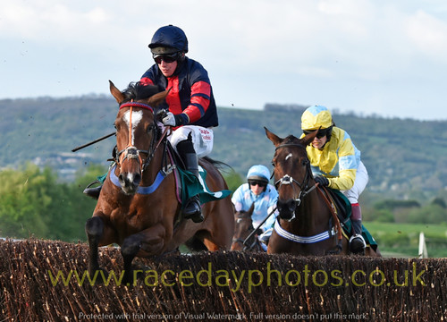 FRELIA | racedayphotos