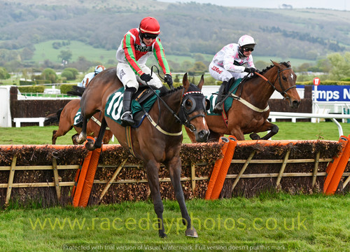 ROLLING MAUL | racedayphotos