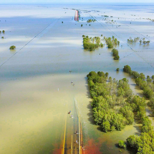 Roebuck Plains Flood | ek-photography