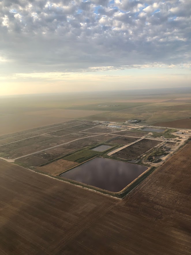 Beef Belt | SW Kansas | Feedyard