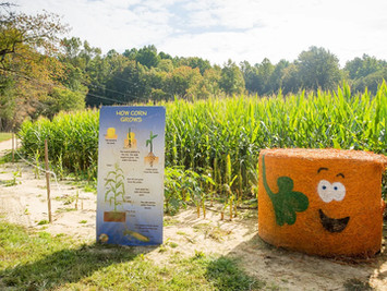 ATTRACTIONS | Montpelier Farms | Upper Ma