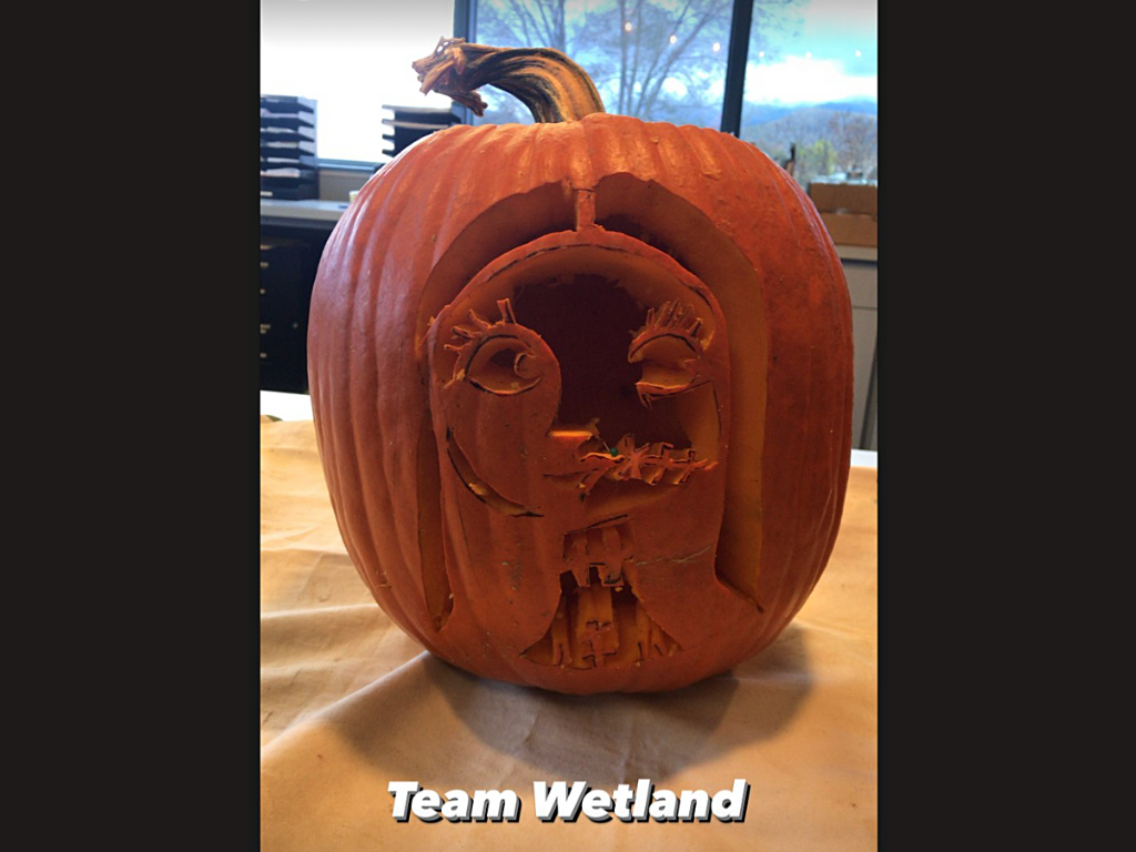 The History of Pumpkins