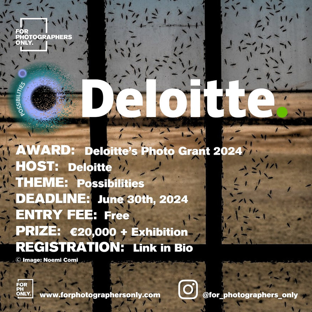 Deloitte's Photo Grant 2024