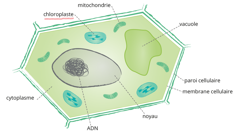 Sciencesculture - Vous ... puis Nous ...