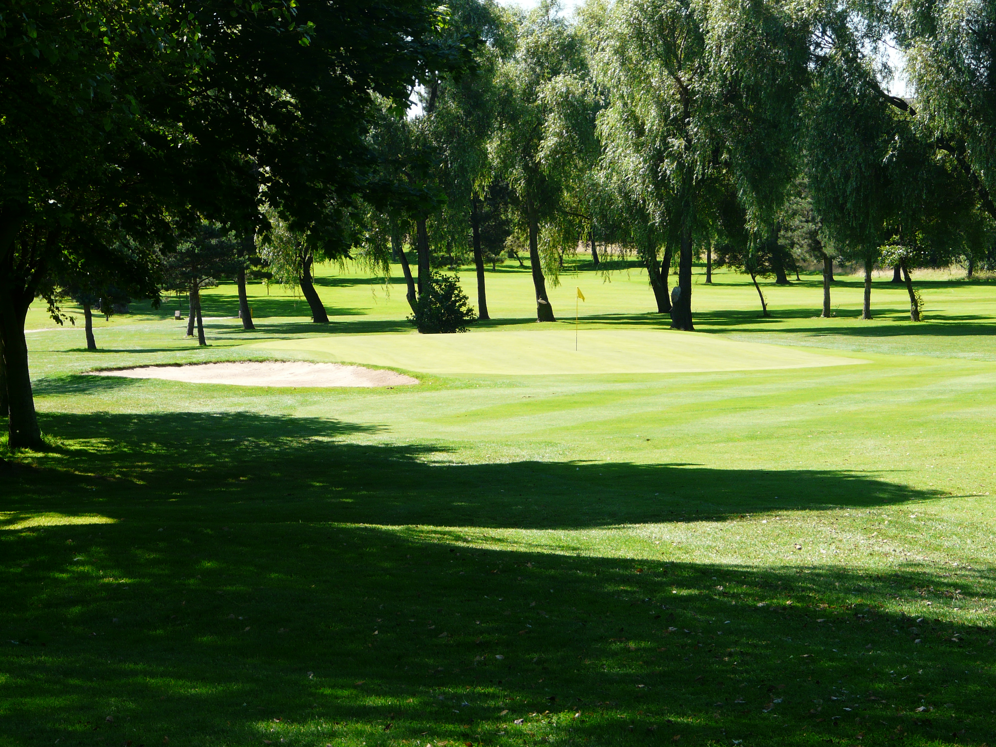 Course | Phoenixgolfclub
