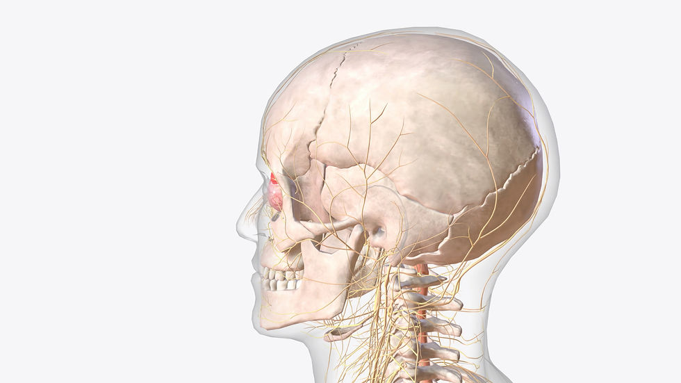Occipital Neuralgia: A Common Cause of Headache