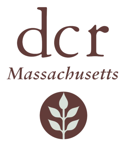 Urban Canopy | Tree Eastie | East Boston