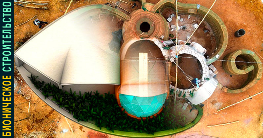 Услуги | Bio-Veda Arcology