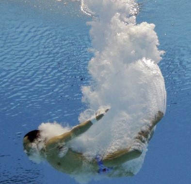 GALLERY | Miami Diving