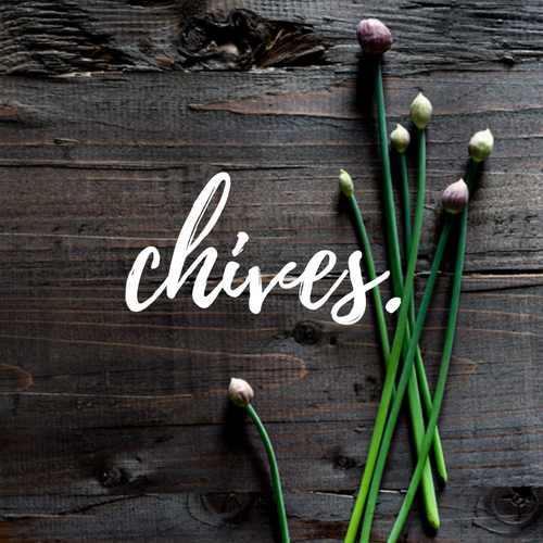 Chives | Forest in a Mug