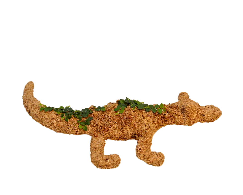 All Planted Topiaries | Moss & Vine Topiary