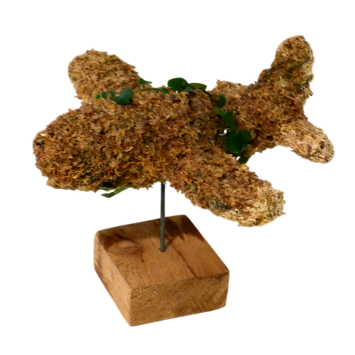 Airplane Topiary - Planted | Moss & Vine Topiary