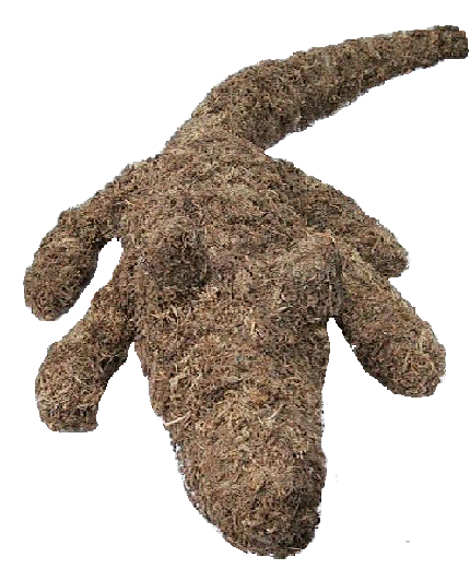 Large Alligator Topiary - Stuffed | Noah's Ark Topiary