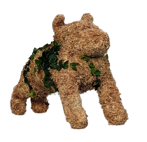 Bulldog Topiary - Planted | Moss & Vine Topiary