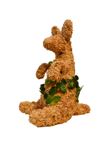 Kangaroo Topiary - Planted | Moss & Vine Topiary