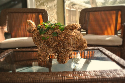 Medium Pig Topiary - Planted | Moss & Vine Topiary