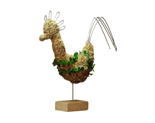 Rooster Topiary - Planted | Moss & Vine Topiary