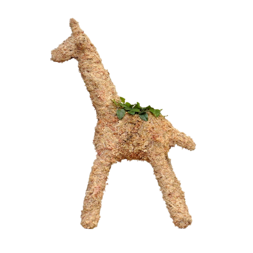 Small Giraffe Topiary - Planted | Moss & Vine Topiary