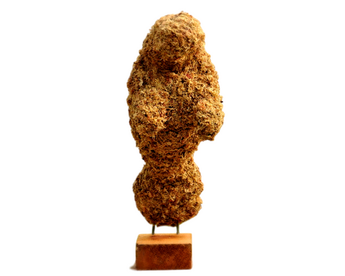 Manatee Topiary - Stuffed | Moss & Vine Topiary