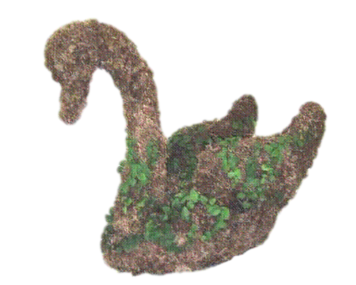 Large Swan Topiary - Planted | Moss & Vine Topiary