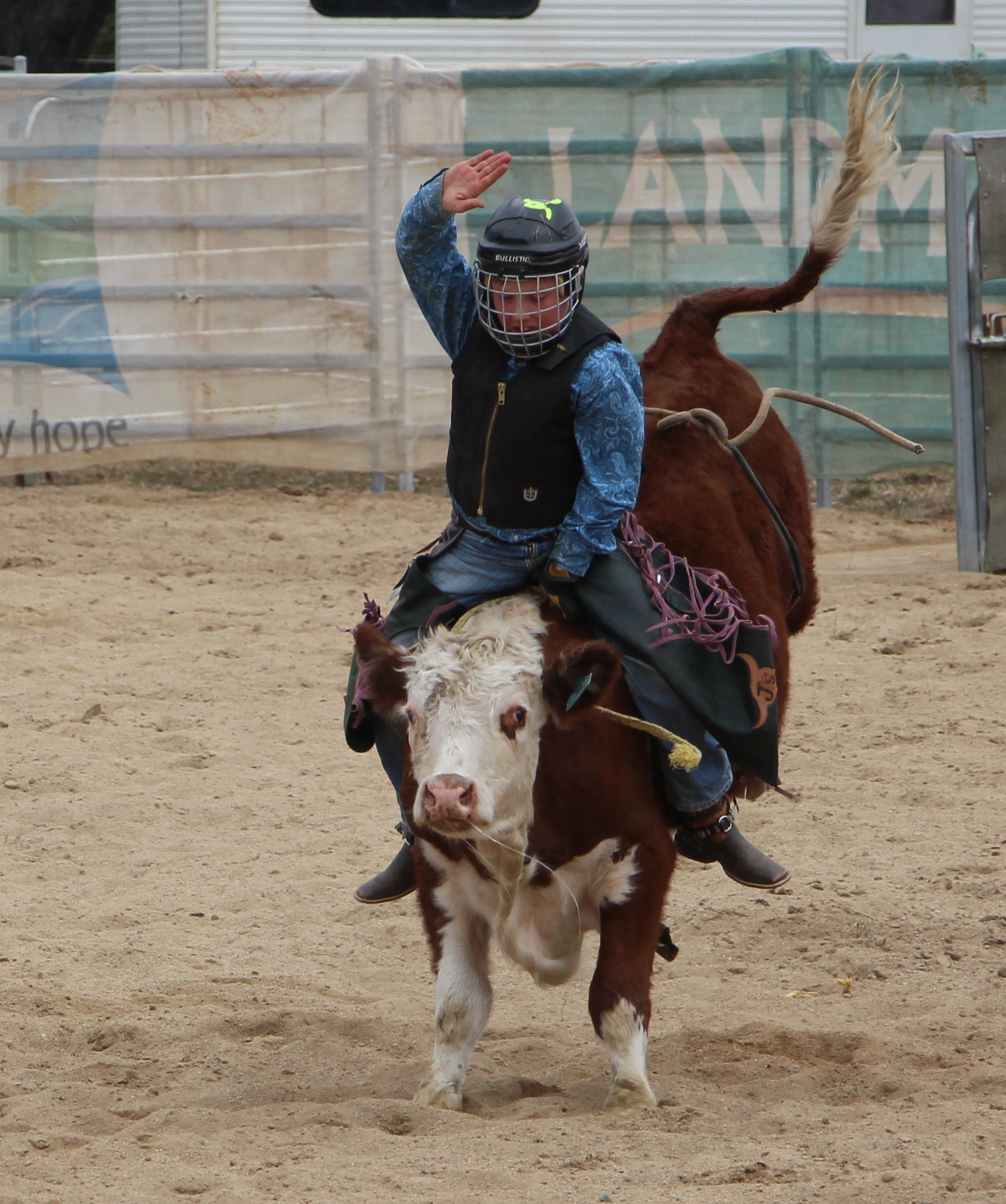 Gallery | oberon-rodeo