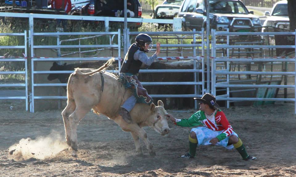 Gallery | oberon-rodeo