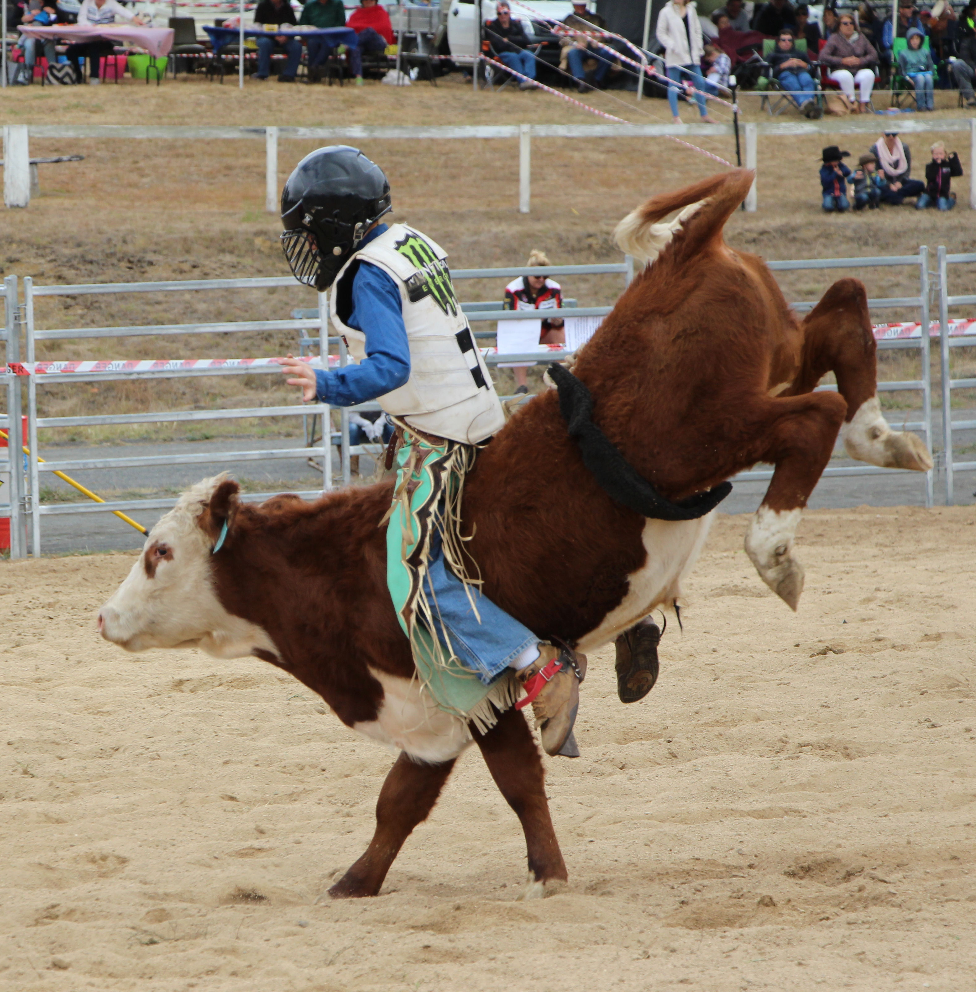 Gallery | oberon-rodeo