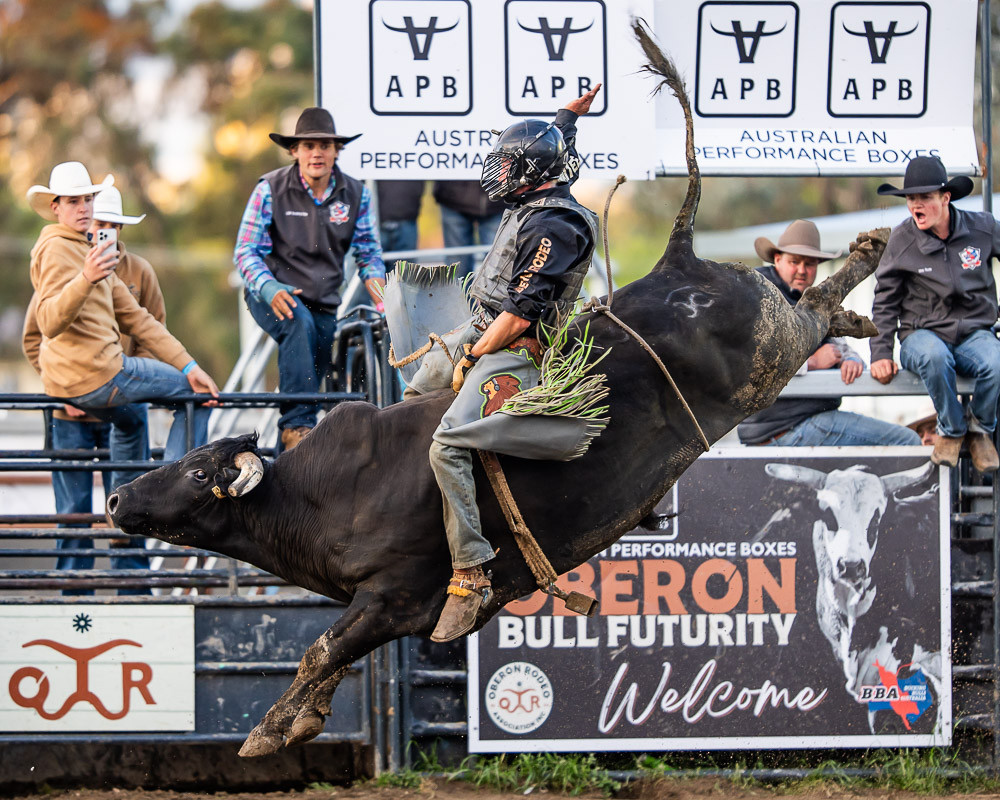 Oberon Rodeo