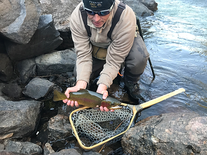 Fly Fishing Trips Colorado Springs - Fly Fishing Guides Near Me