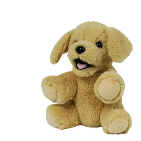 DREAMY RENTALS | Dreams 2 Reality Design