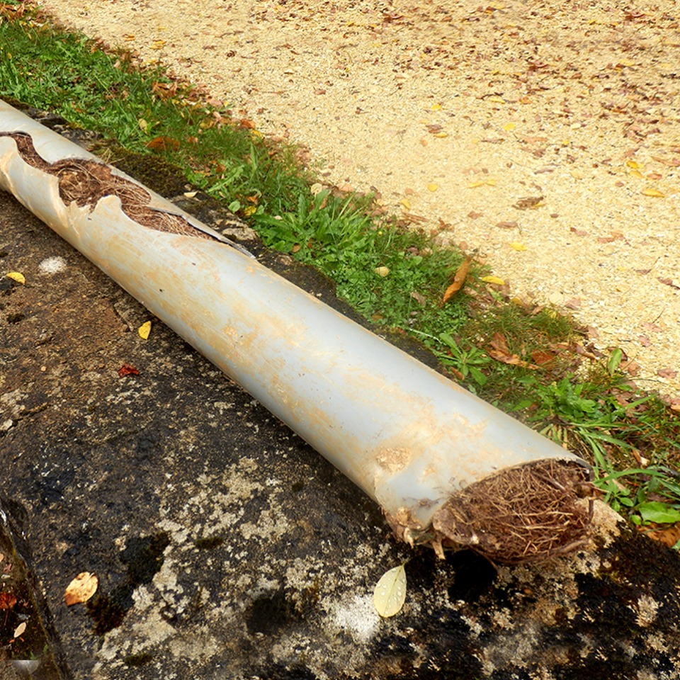 Water Backup Damage: Top 5 Critical Insurance Facts