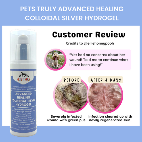 Advanced Healing Colloidal Silver Hydrogel (100ml) | Pets Truly