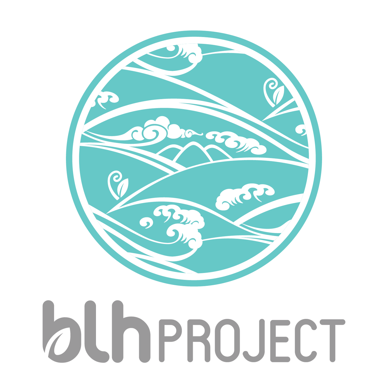 About | BLH Project